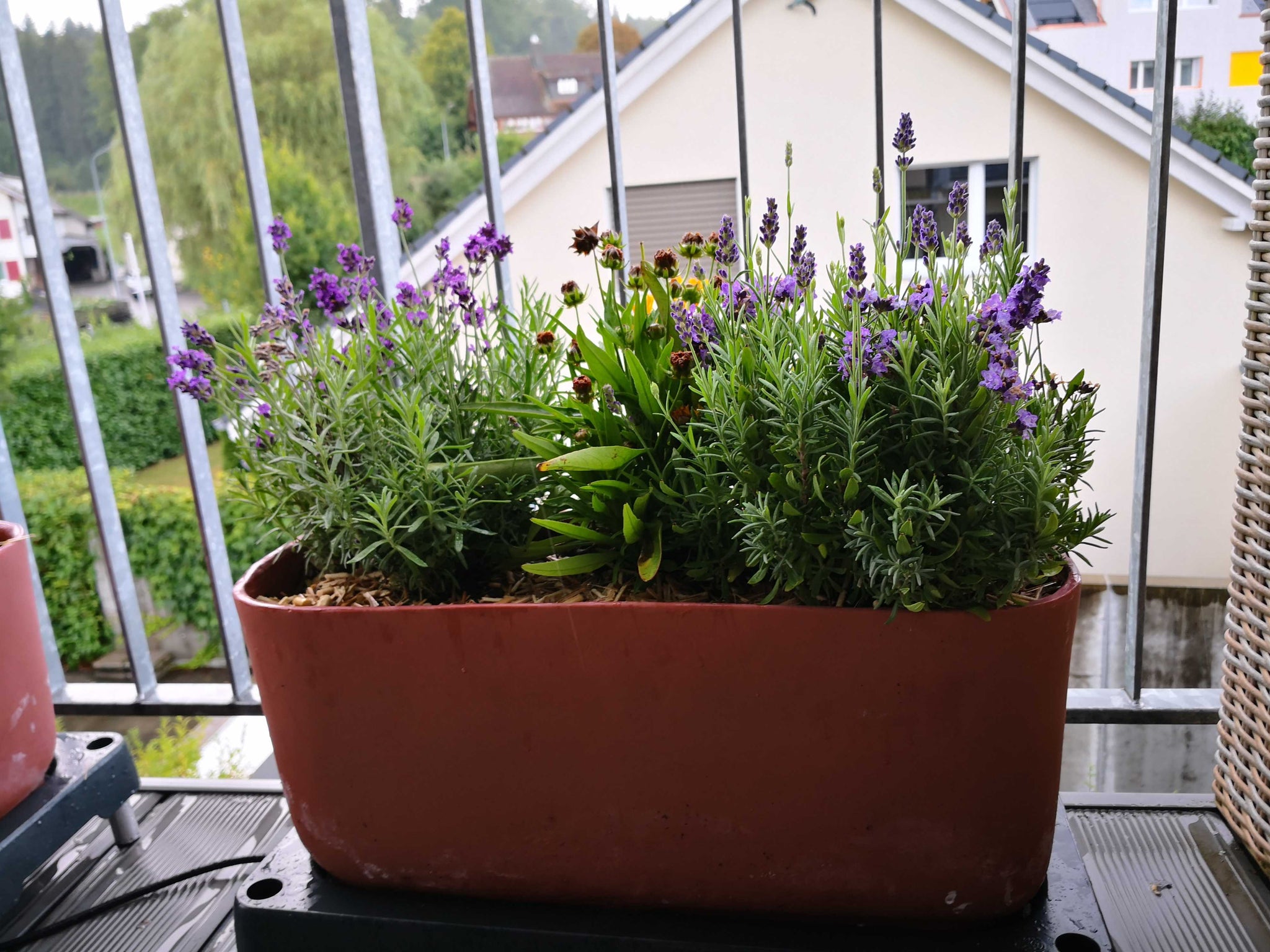 Rückblick 2022: Bezaubende Balkone